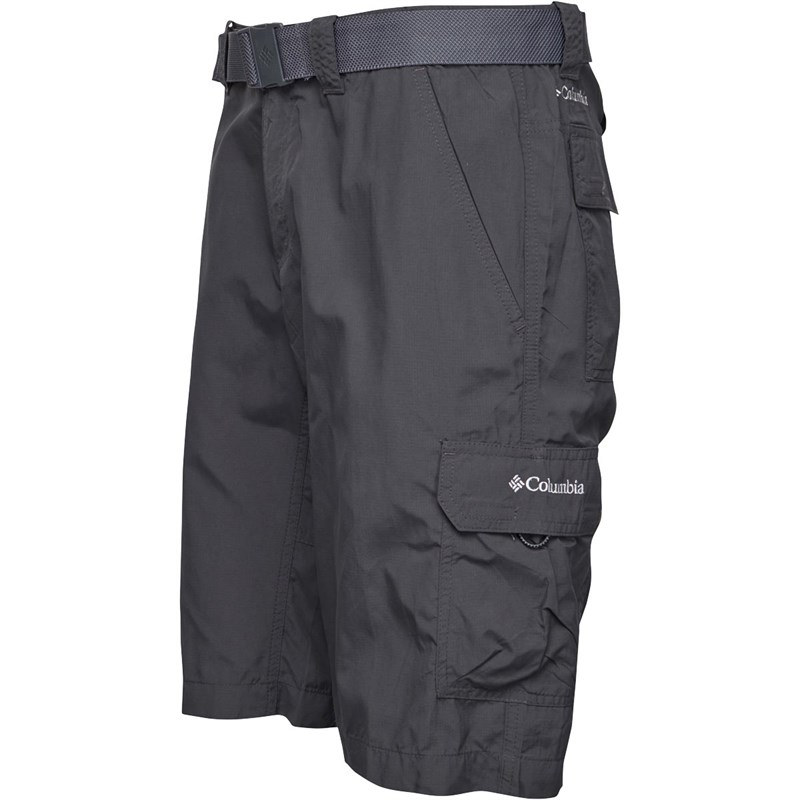 Buy Columbia Mens Silver Ridge II Cargo Shorts Shark Graphite