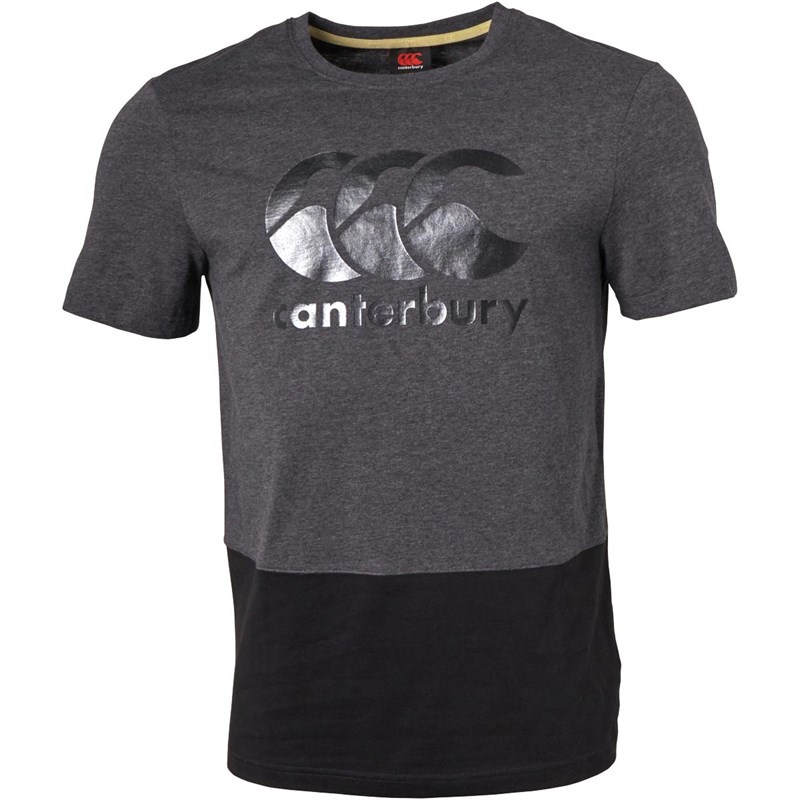 Buy Canterbury Mens Colour Block Logo T-Shirt Grey