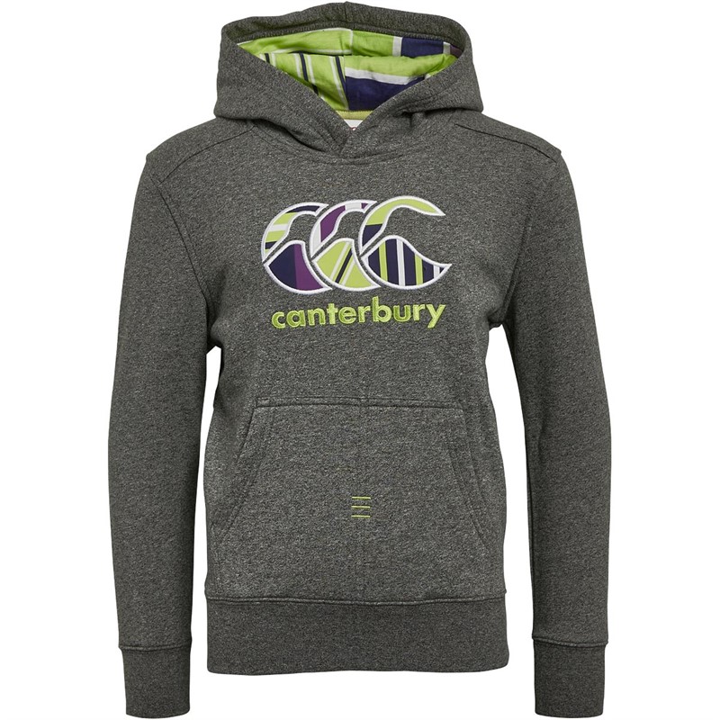 Buy Canterbury Junior CCC Uglies Hoodie Grey
