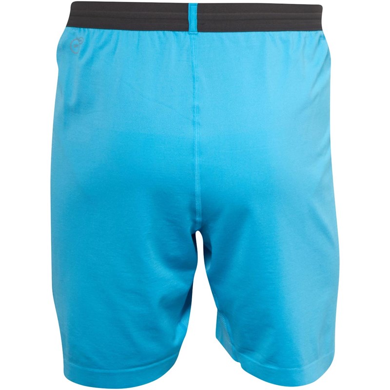 Puma Short de Foot Final evoKNIT Goalkeeper Match Homme Bleu