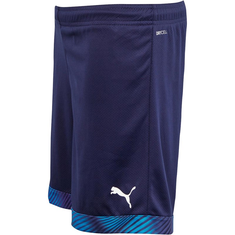 Buy Puma Junior Cup Match Shorts Peacoat/Puma White