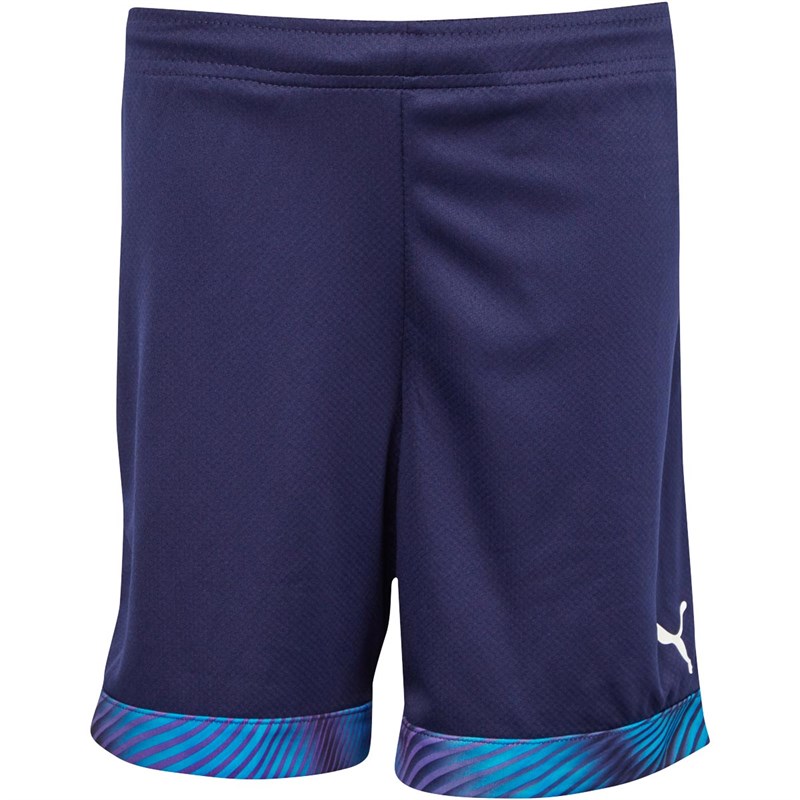 Buy Puma Junior Cup Match Shorts Peacoat/Puma White