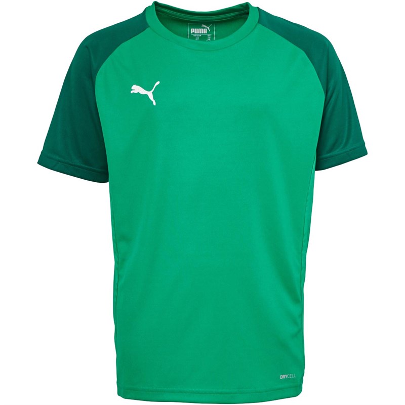 Buy Puma Junior Cup Sideline Tee Pepper Green/Puma White