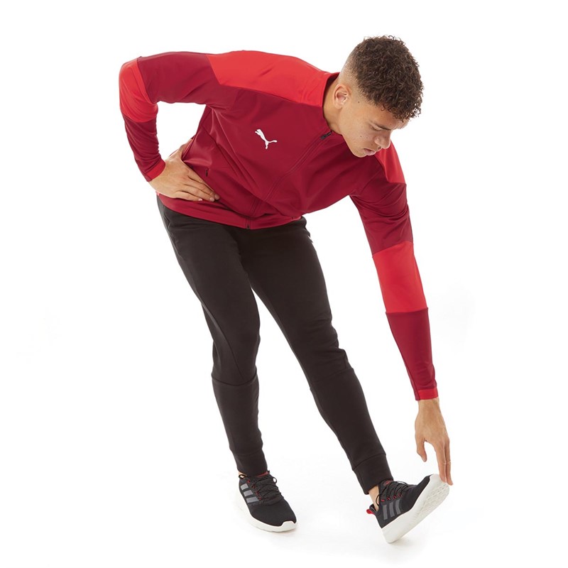 Buy Puma Mens Teamfinal 21 Sideline Jacket Chilli Pepper