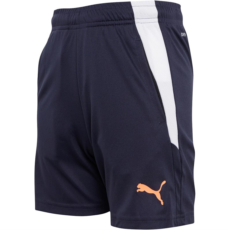 Buy Puma Junior teamLIGA Training Shorts Parisian Night