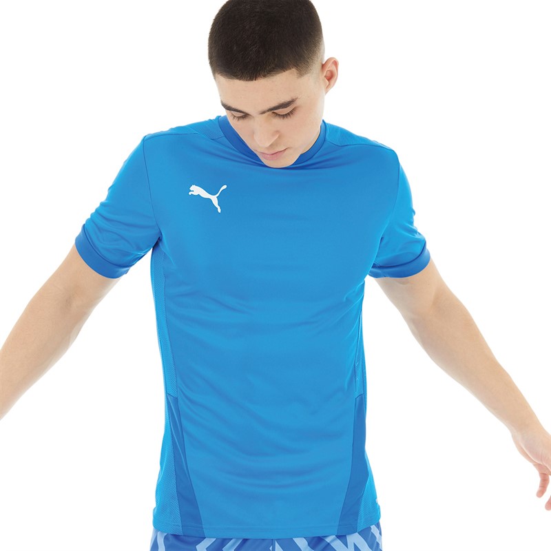 Buy Puma Mens Goal 23 Jersey Electric Blue Lemonade/Team Power Blue