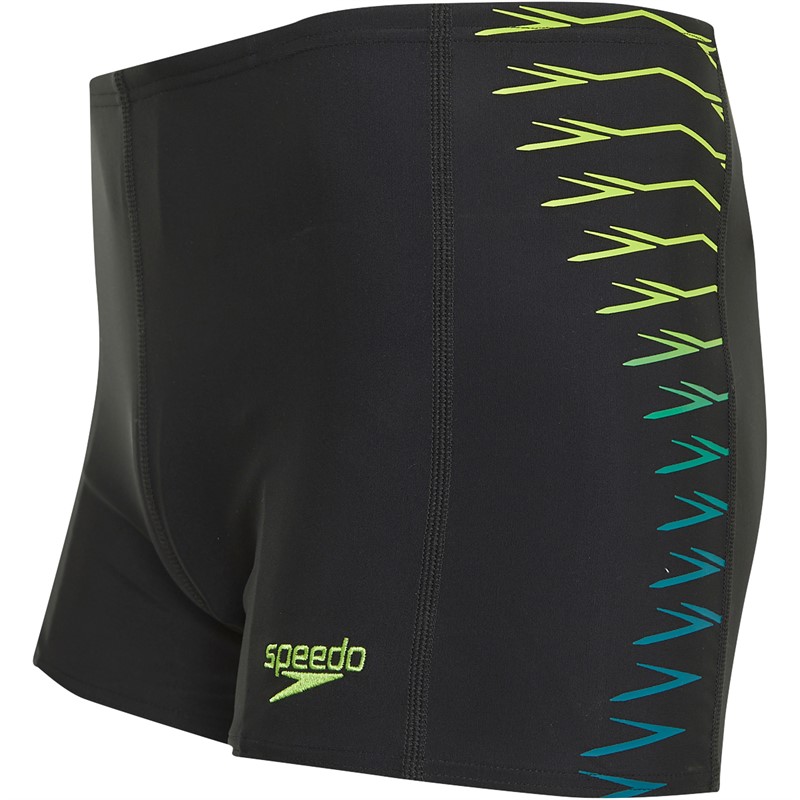 Buy Speedo Mens Tech Panel Aquashorts Black/Green